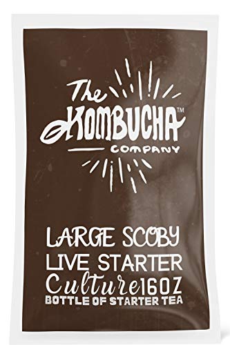 The Kombucha Company Large Scoby Starter Kit – 16 oz Bottle ...